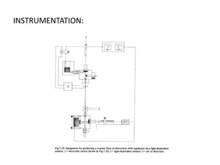Isotachophoresis & ief(iso electric focusing | PPTX