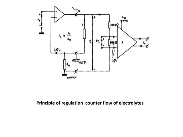 Isotachophoresis & ief(iso electric focusing | PPTX | Chemistry | Science