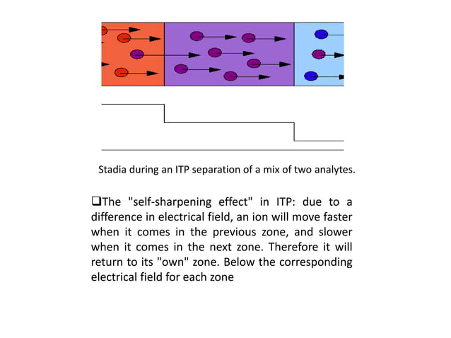 Isotachophoresis & ief(iso electric focusing | PPTX