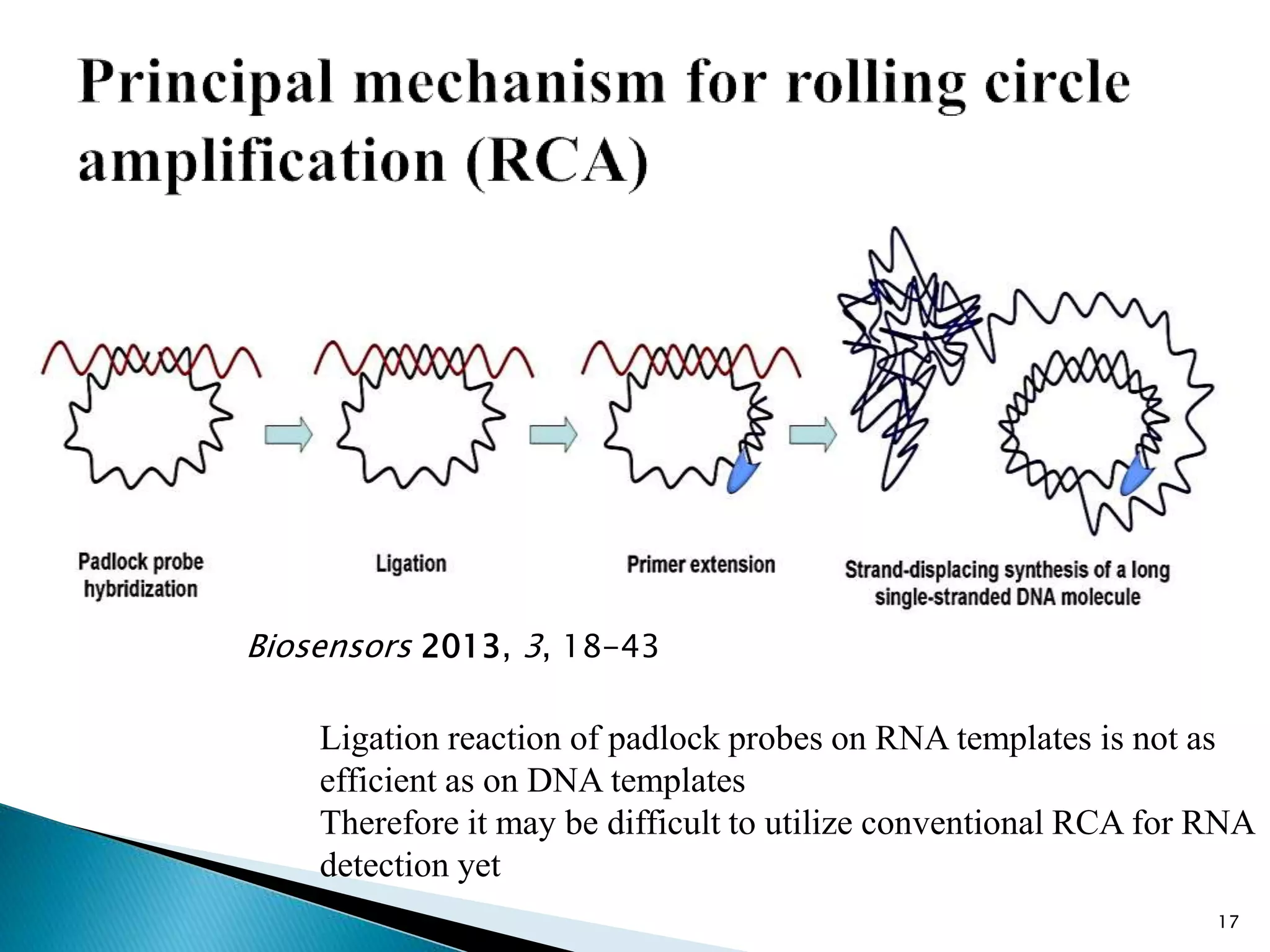 Isothermal Nucleic Acid Amplification Techniques Pptx Chemistry Science