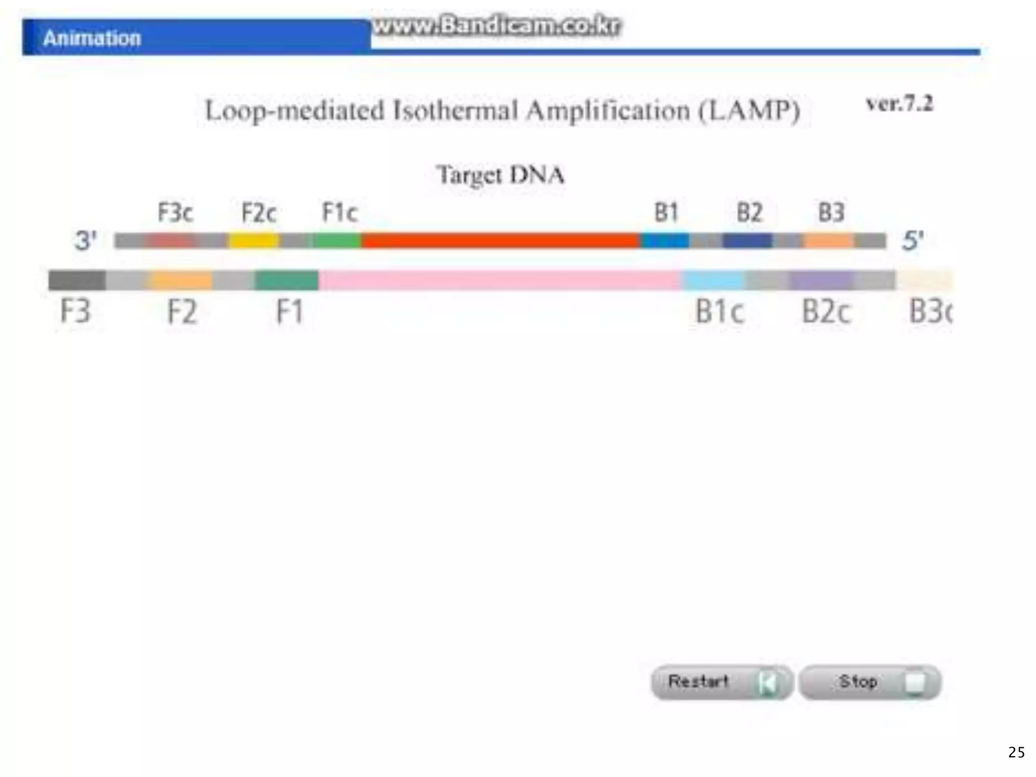 Isothermal Nucleic Acid Amplification Techniques | PPTX
