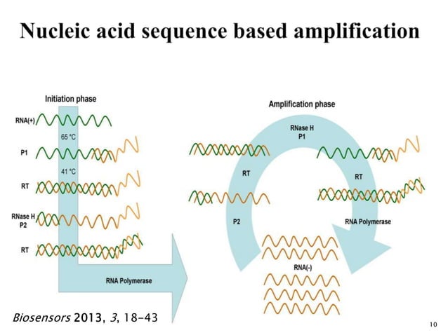 Isothermal Nucleic Acid Amplification Techniques