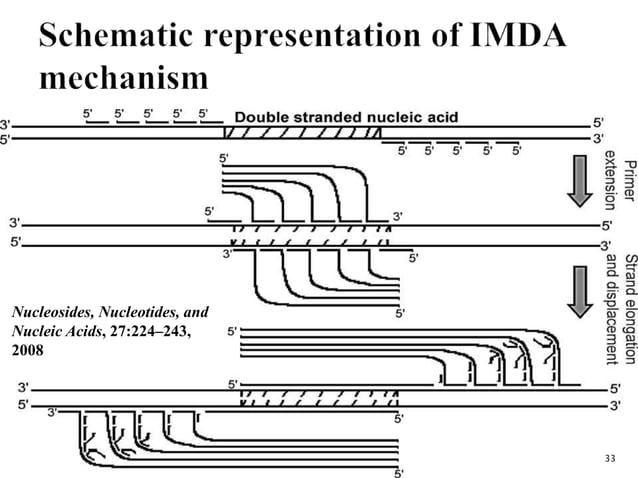 Isothermal Nucleic Acid Amplification Techniques