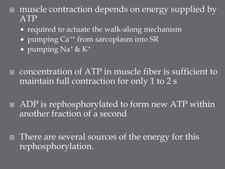 Isotonic & isometric contraction | PDF