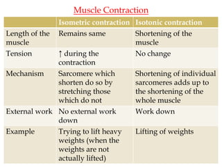 Isometric Contraction