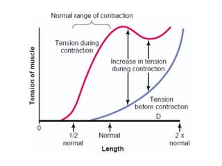 Isometric Vs Isotonic Contraction Graph