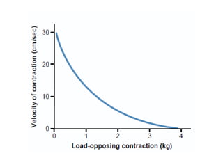 Isometric Vs Isotonic Contraction Graph