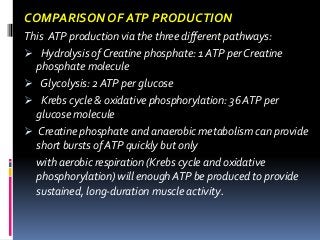 Isotonic & Isometric contraction of muscle.pptx