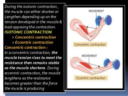 Isotonic & Isometric contraction of muscle.pptx