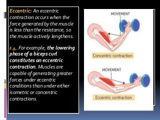 Isotonic & Isometric contraction of muscle.pptx