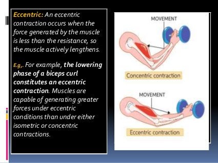 Isotonic & Isometric contraction of muscle.pptx