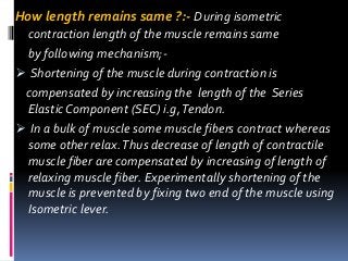 Isotonic & Isometric contraction of muscle.pptx
