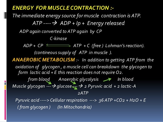 Isotonic & Isometric contraction of muscle.pptx