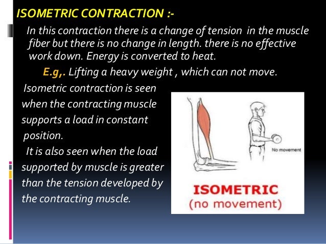 Isotonic & Isometric contraction of muscle.pptx