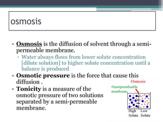 Isotonicity.ppt