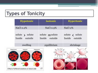 Isotonicity.ppt