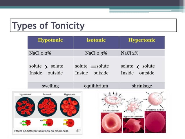 Isotonicity.ppt | Chemistry | Science