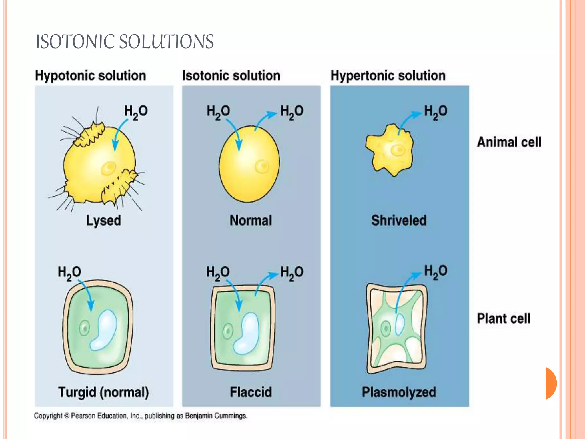 Isotonic solutions | PPTX