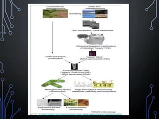 Isotope in agricultural microbiology | PPT