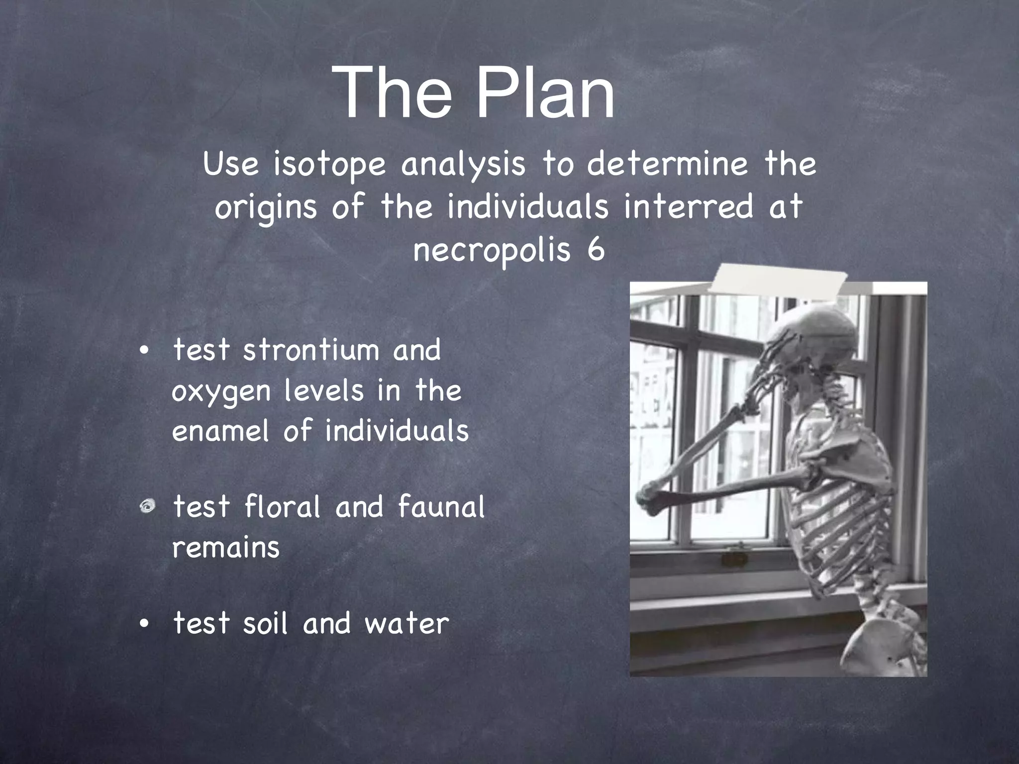 Isotope Presentation By Maggie Ziriax | PPT