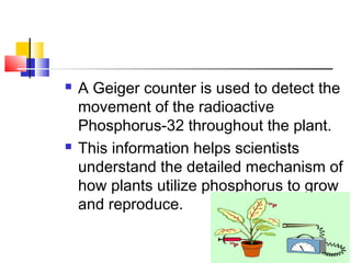Isotopes and their application in plant sciences. | PPT