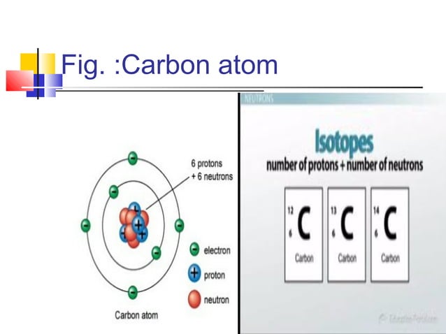 Isotopes and their application in plant sciences. | PPT | Gardening | Home & Garden