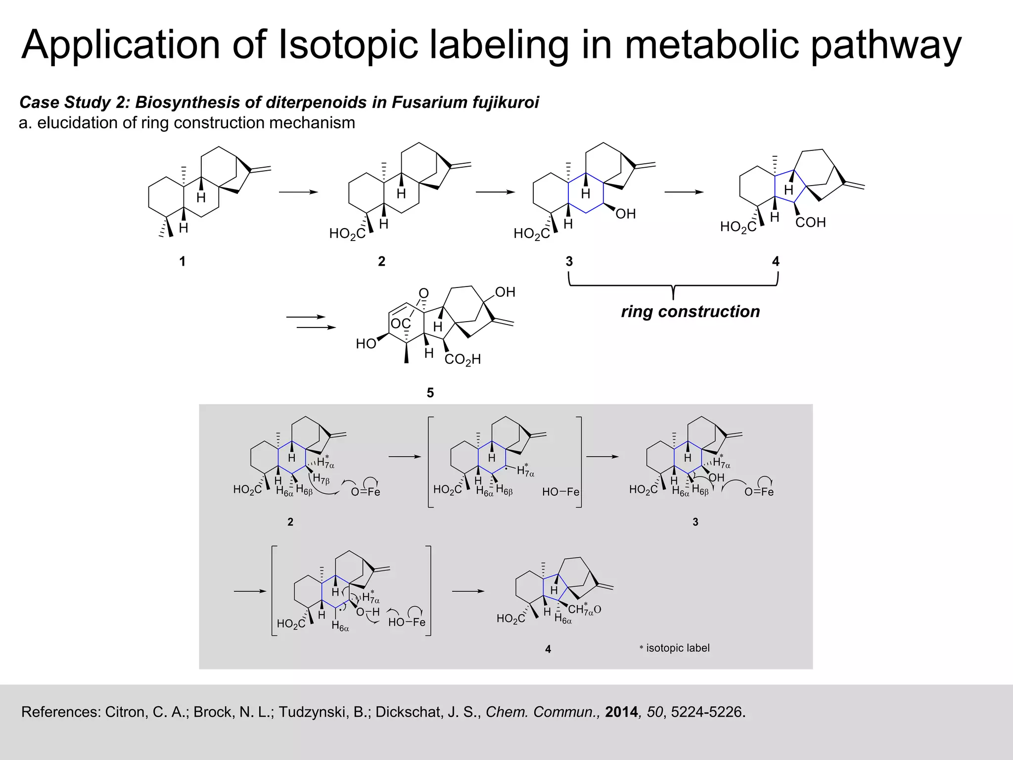 Isotopic labeling | PPTX