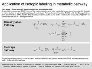 Isotopic labeling | PPTX