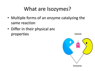 Isozymes and their role in diagnosis of disease.pptx