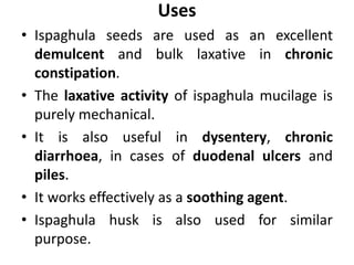 ISPAGHULA/ ISHABGULA- Plantago ovata | PPTX