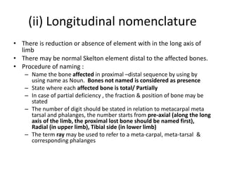 ISPO classification.pptx