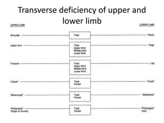 ISPO classification.pptx