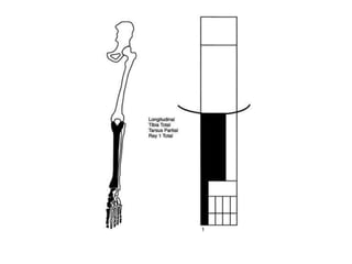 ISPO classification.pptx