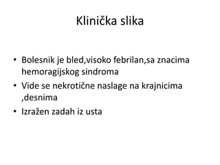 Klinička slika i bolesti granulocitne loze 53/54 | PPT