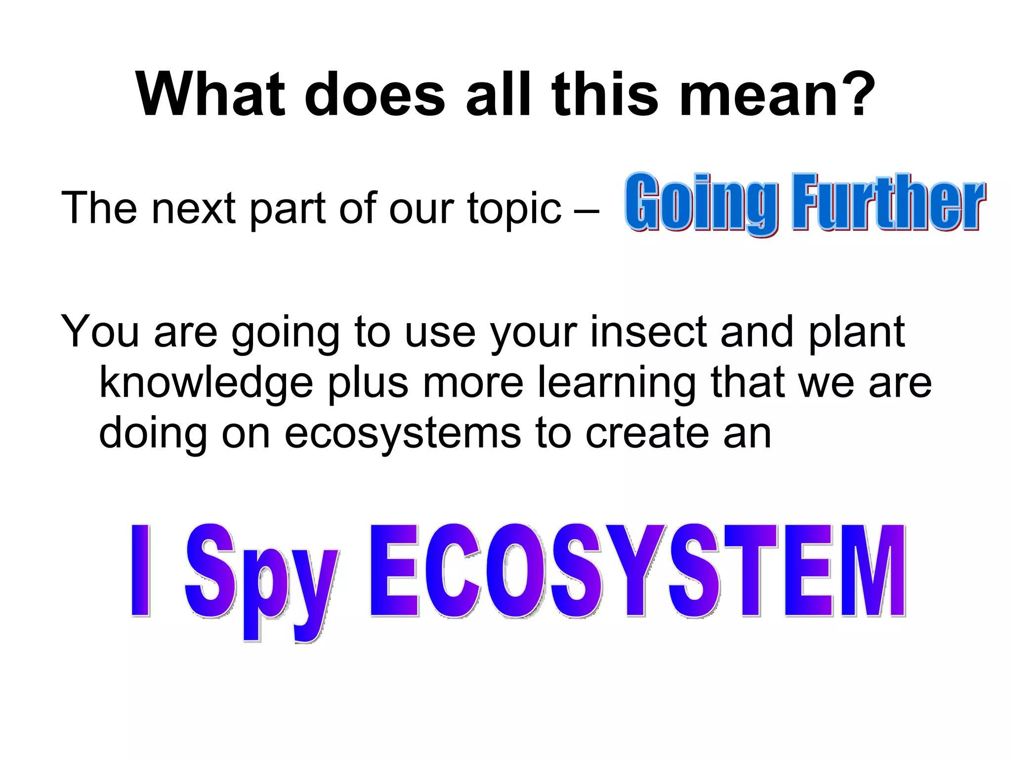 I spy intro | PPT