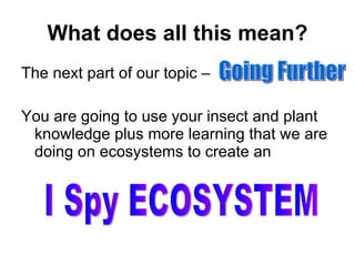 I spy intro | PPT