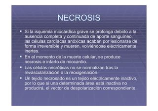 Isquemia, Lesion Y Necrosis | PDF