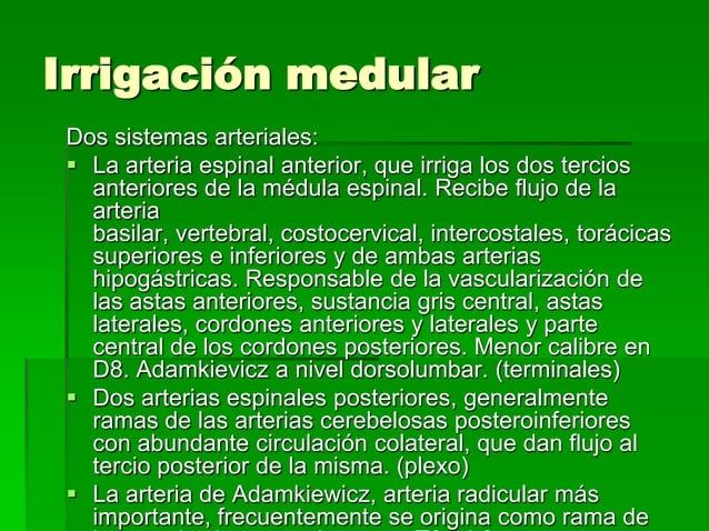 Isquemia medular | PPT