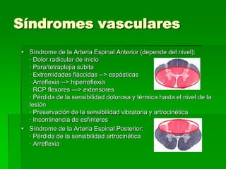 Isquemia medular | PPT