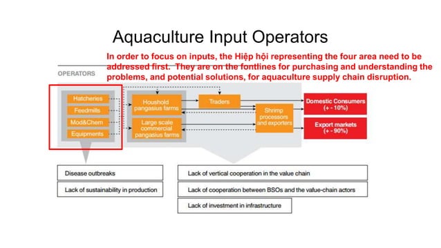 Israel and the Vietnamese Aquaculture Supply Chain | PPTX | Food ...