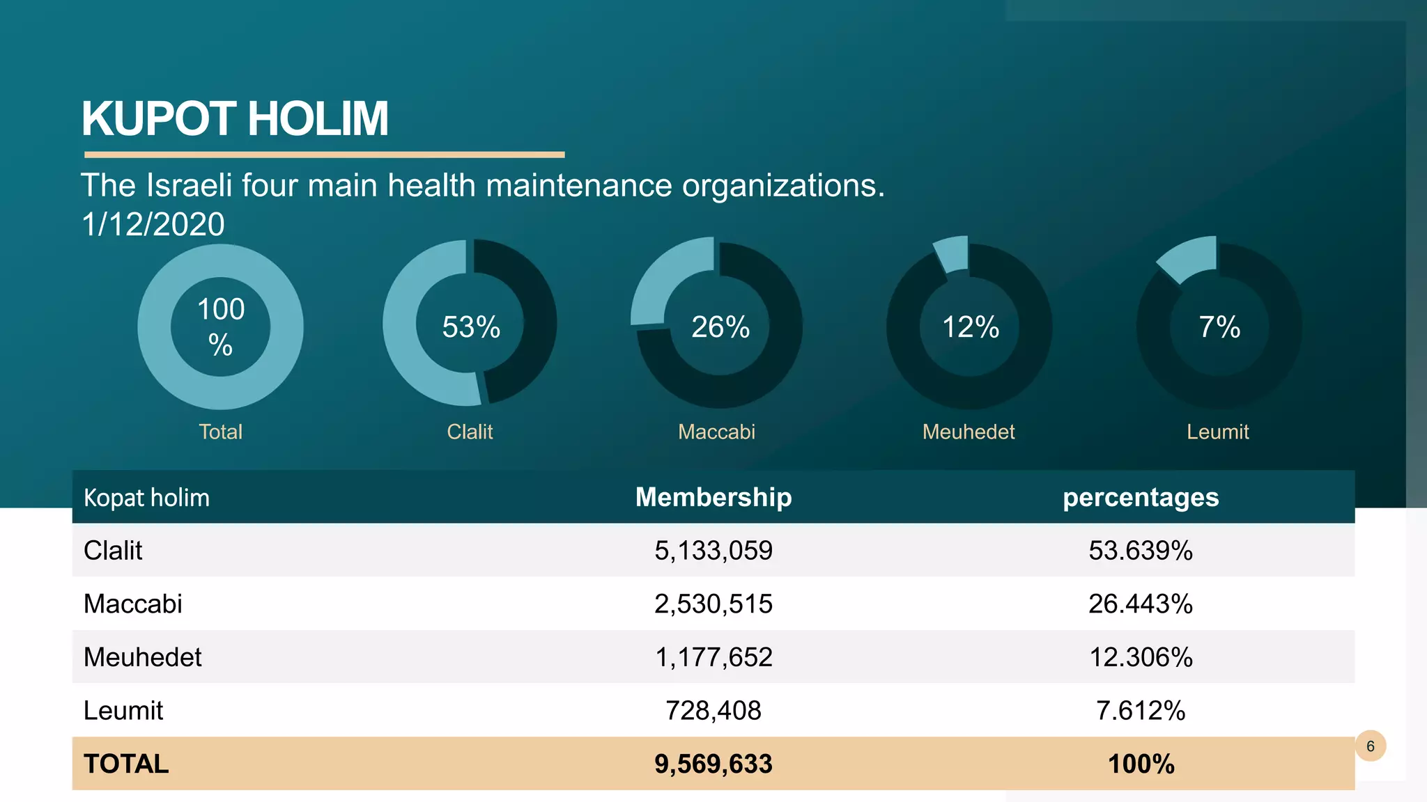 Israel healthcare system financial management | PPTX