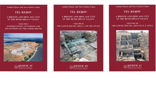 Israel History Timeline.pptx