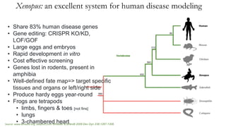 Radical Life Extension_Dr. Leon Peshkin_Dec 2023 | PPT