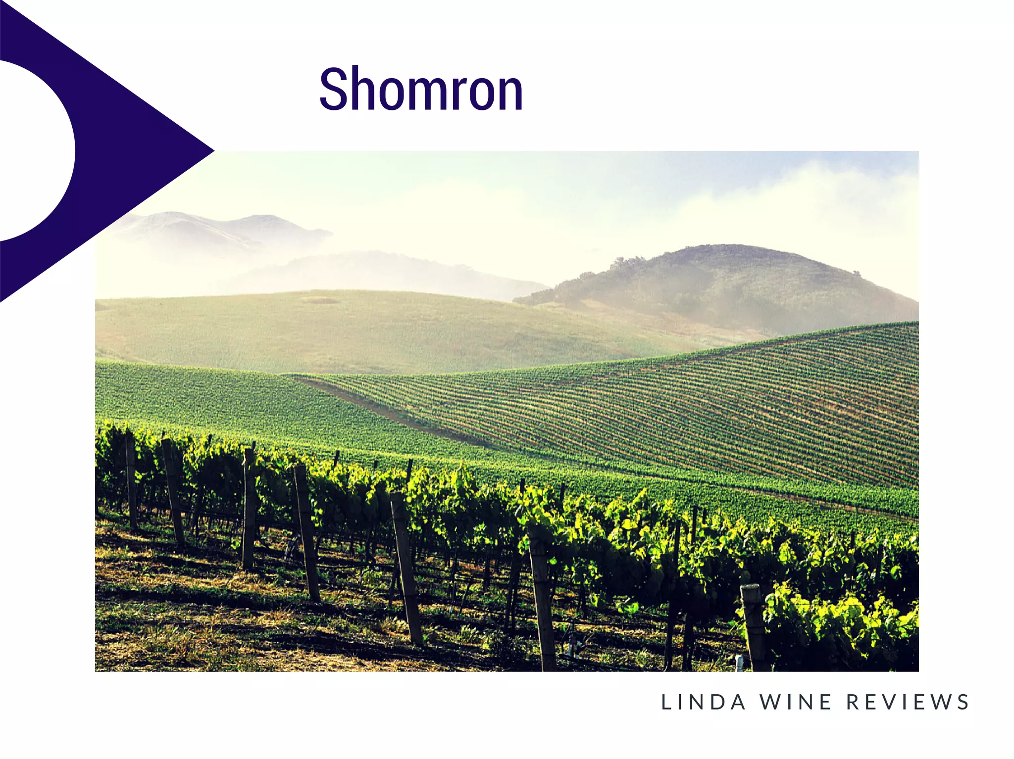 Israeli wine regions | PDF