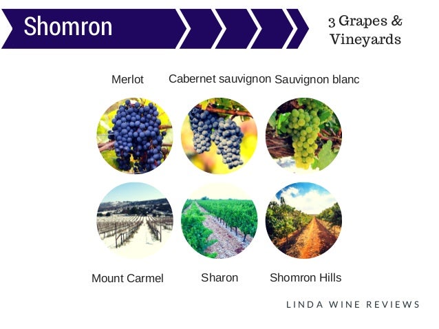 Israeli wine regions