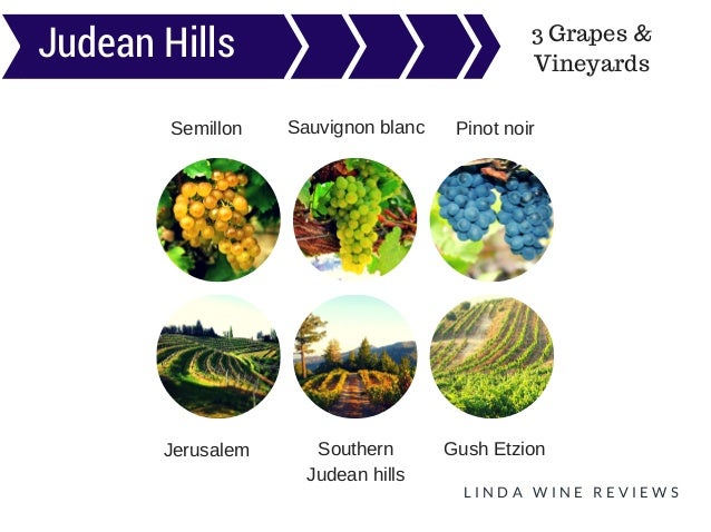 Israeli wine regions
