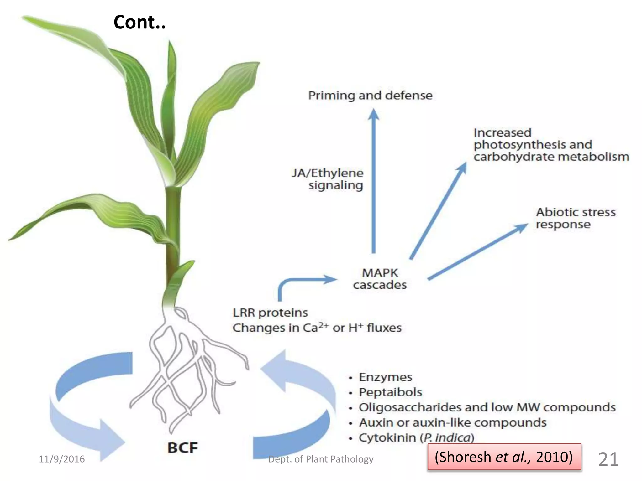 ISR IN PLANTS THROUGH FUNGAL BIOCONTROL AGENTS | PPTX