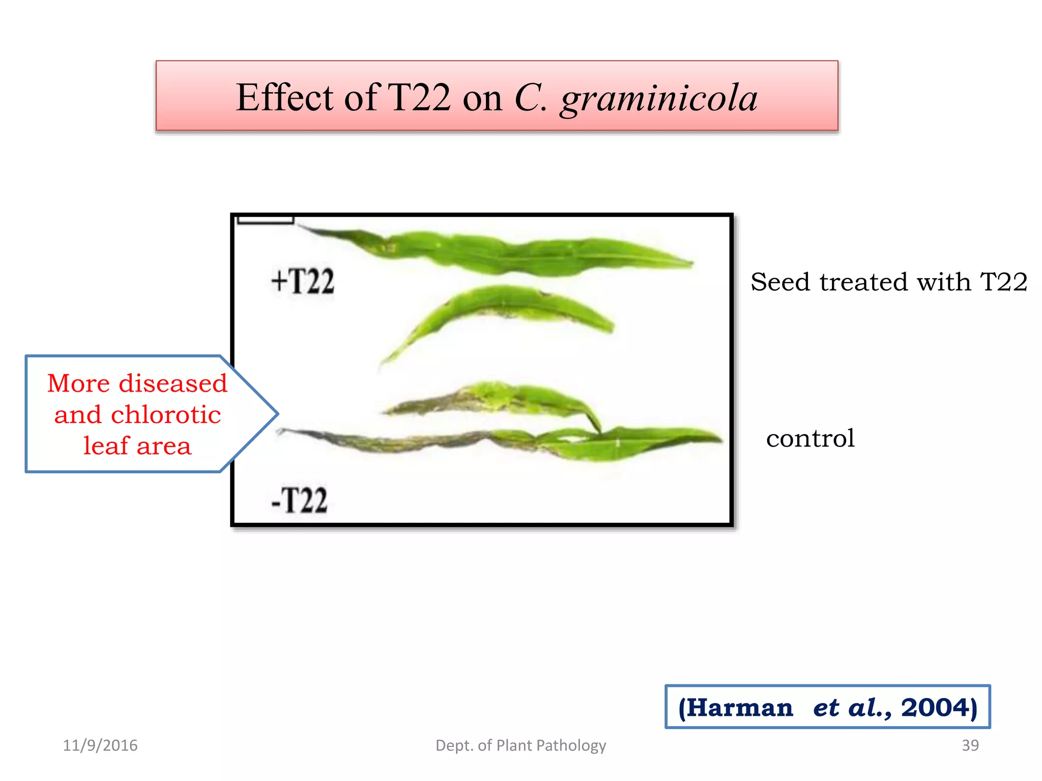 ISR IN PLANTS THROUGH FUNGAL BIOCONTROL AGENTS | PPTX