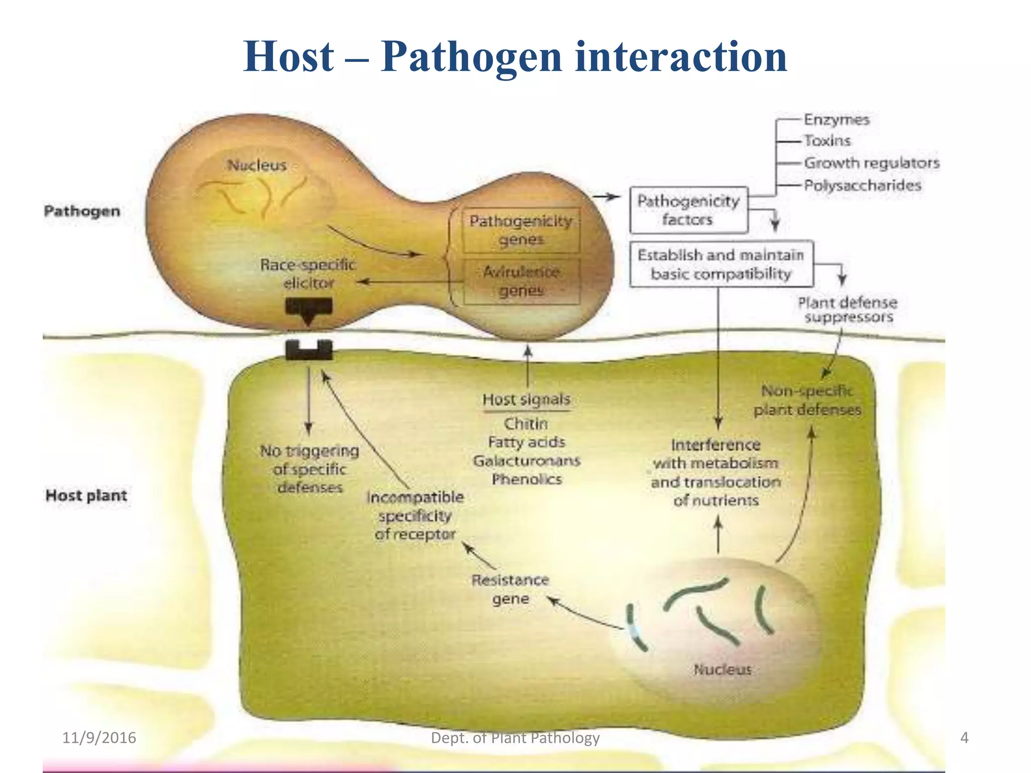 ISR IN PLANTS THROUGH FUNGAL BIOCONTROL AGENTS | PPTX