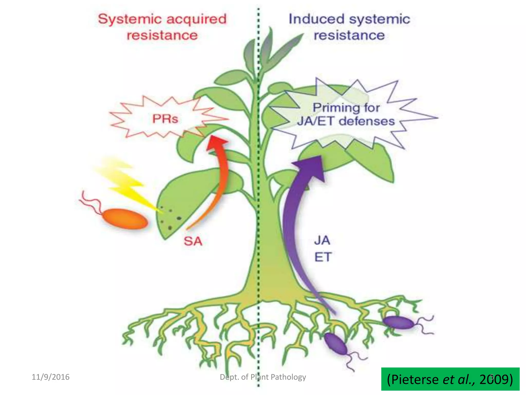 ISR IN PLANTS THROUGH FUNGAL BIOCONTROL AGENTS | PPTX